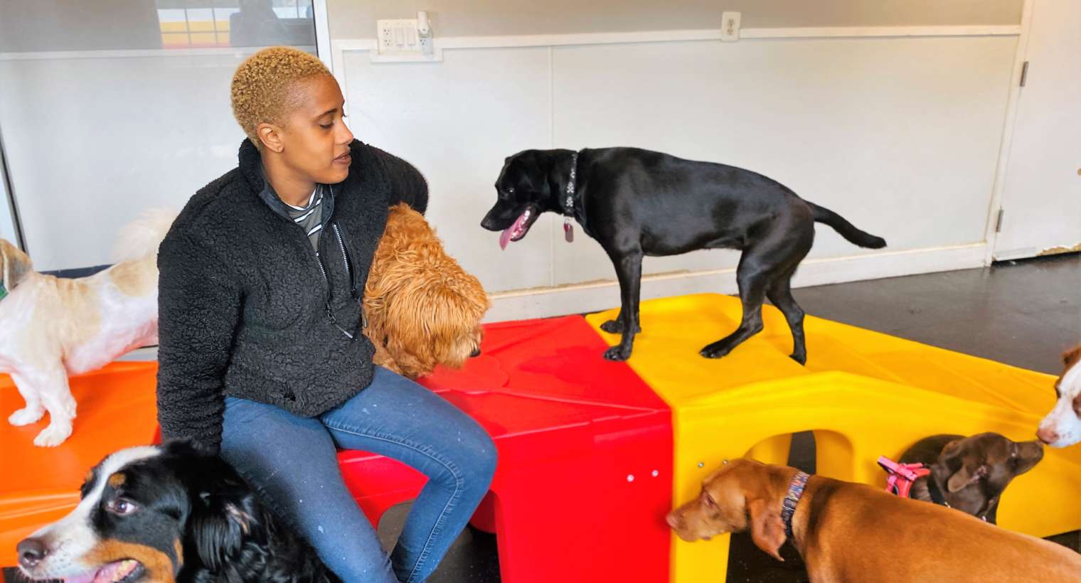 Services – Happy Paws