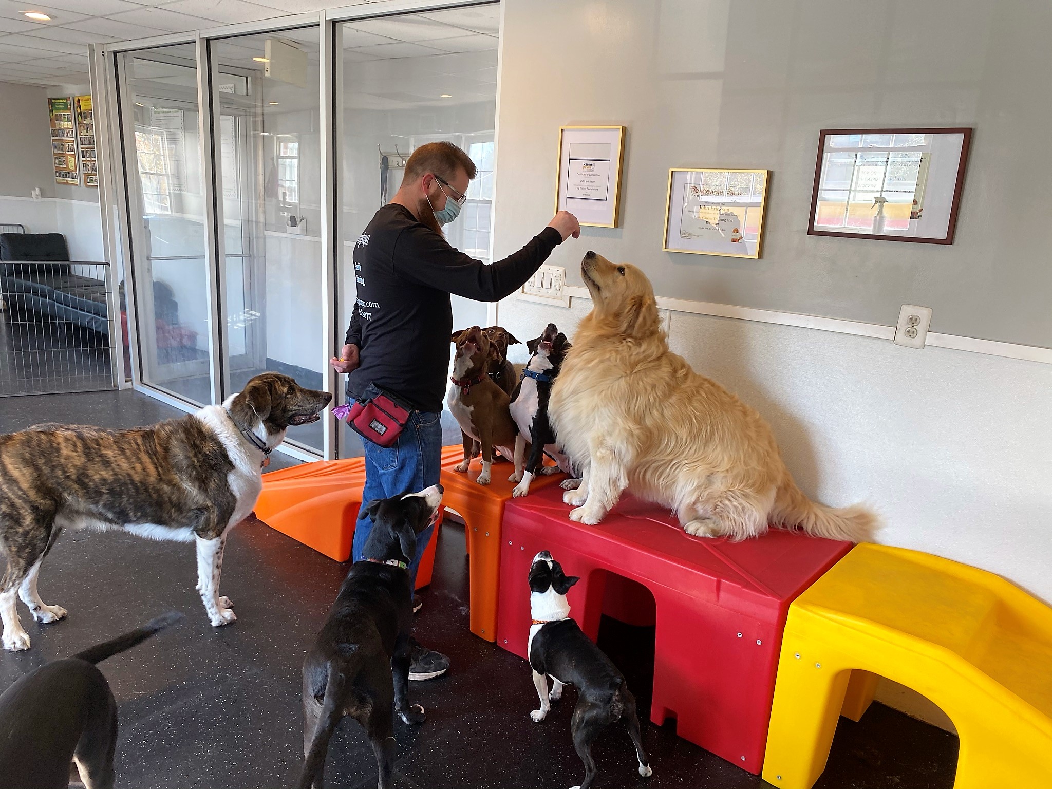 Training – Happy Paws